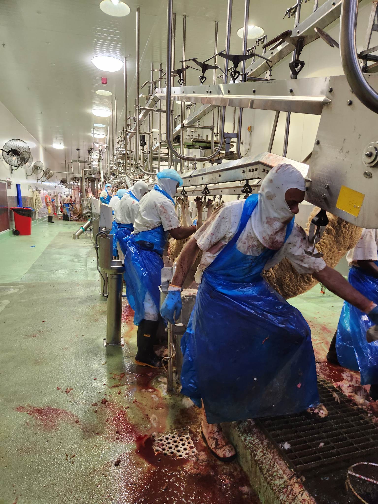 ”E KA BIBI NA VOSOTA KA NA QAI VAKAVOTUKANA NA NOMU SASAGA”-KURULALA ...