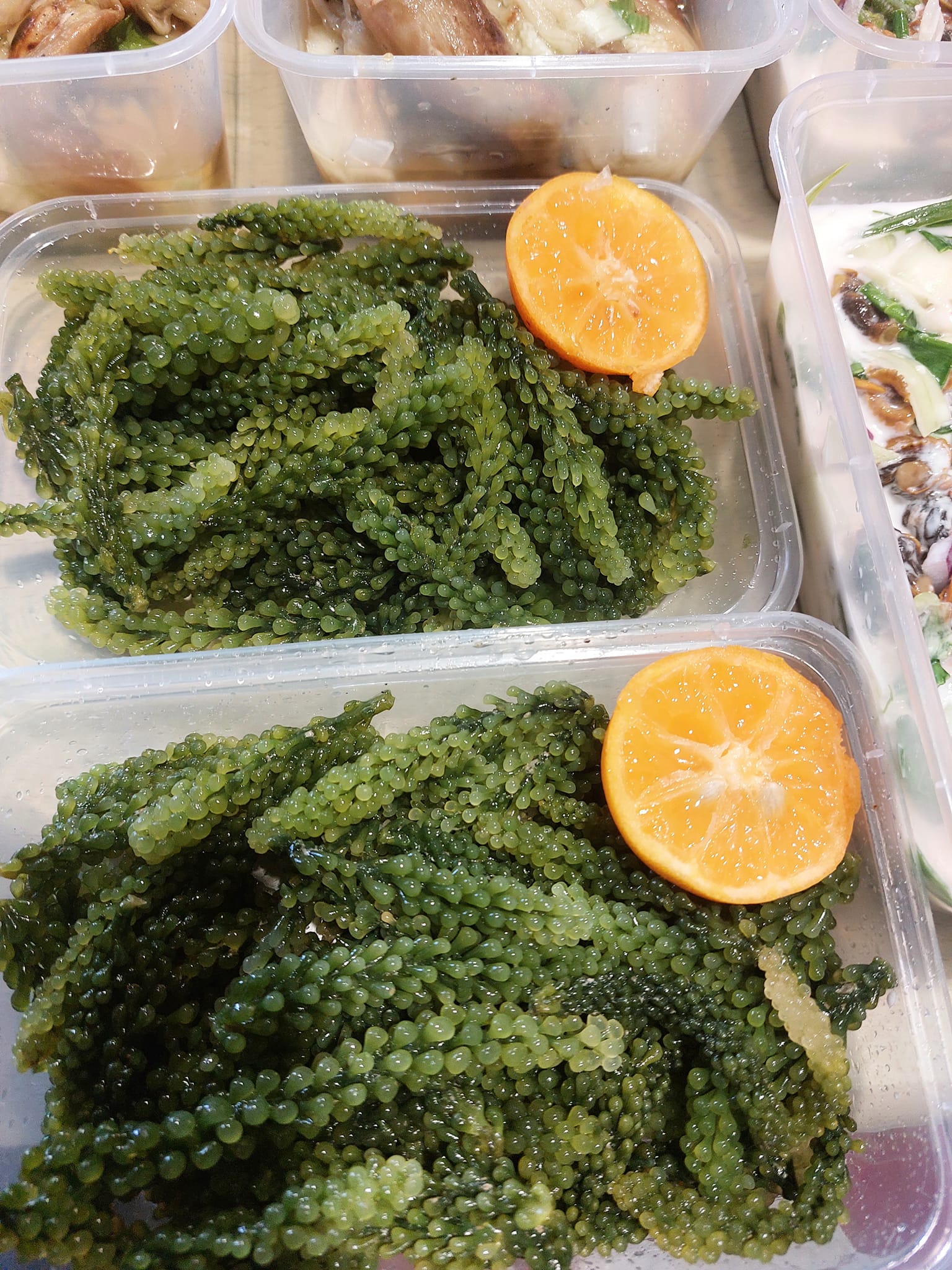 RAWATA O RATU NA NONA I VAVA NI QITO MAI NA ‘KUSIMA PACK’ - Viti FM