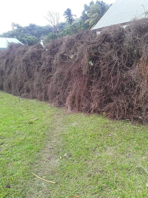 NI BUNO GA E RAWATA!-SAWAIEKE,GAU,LOMAIVITI - Viti FM