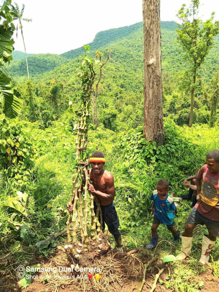 MAI CAVA NA YABAKI 3 NI NODRA VAKATATABU NA I TABAGONE NI KORO KO ...