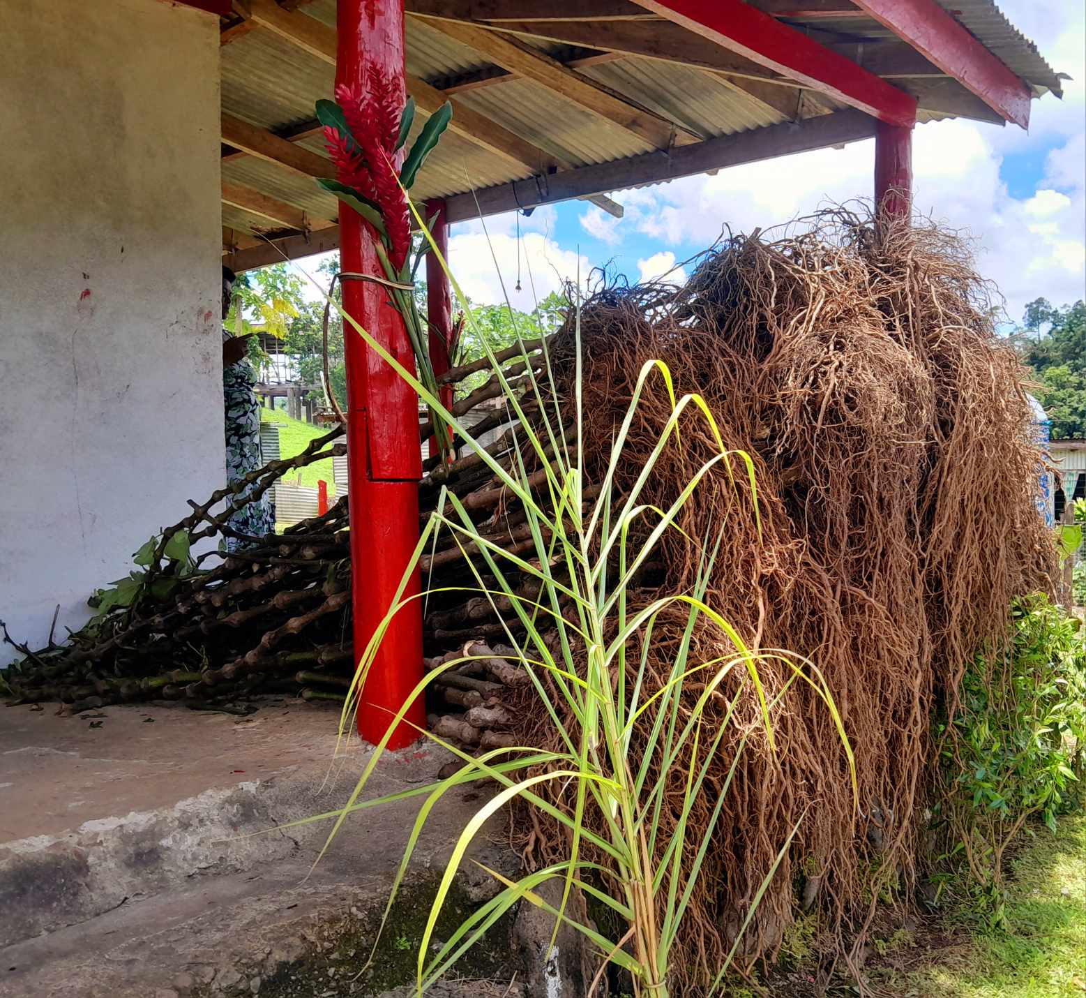 MAI CAVA NA YABAKI 3 NI NODRA VAKATATABU NA I TABAGONE NI KORO KO ...