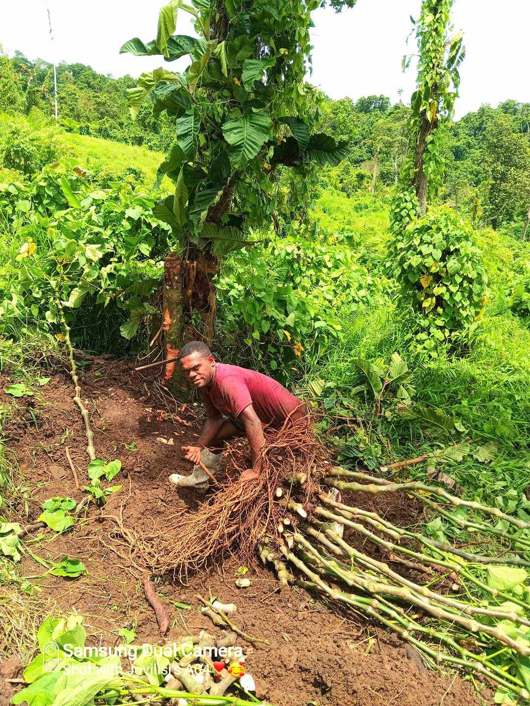 MAI CAVA NA YABAKI 3 NI NODRA VAKATATABU NA I TABAGONE NI KORO KO ...