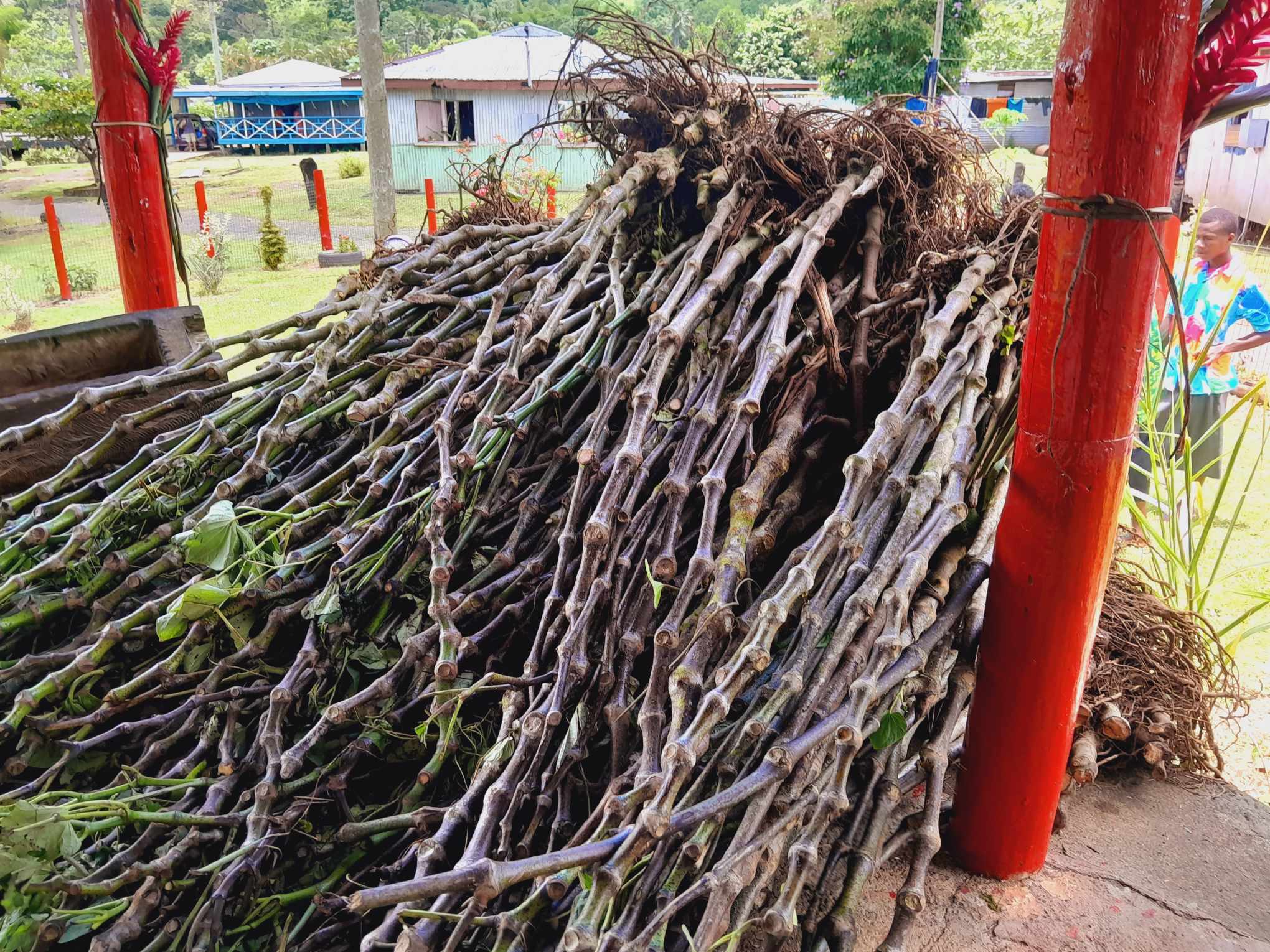 MAI CAVA NA YABAKI 3 NI NODRA VAKATATABU NA I TABAGONE NI KORO KO ...