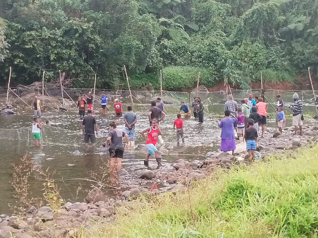 QOLIVI NA IKA NA KANACE MAI COGEA WAINUNU BUA. - Viti FM